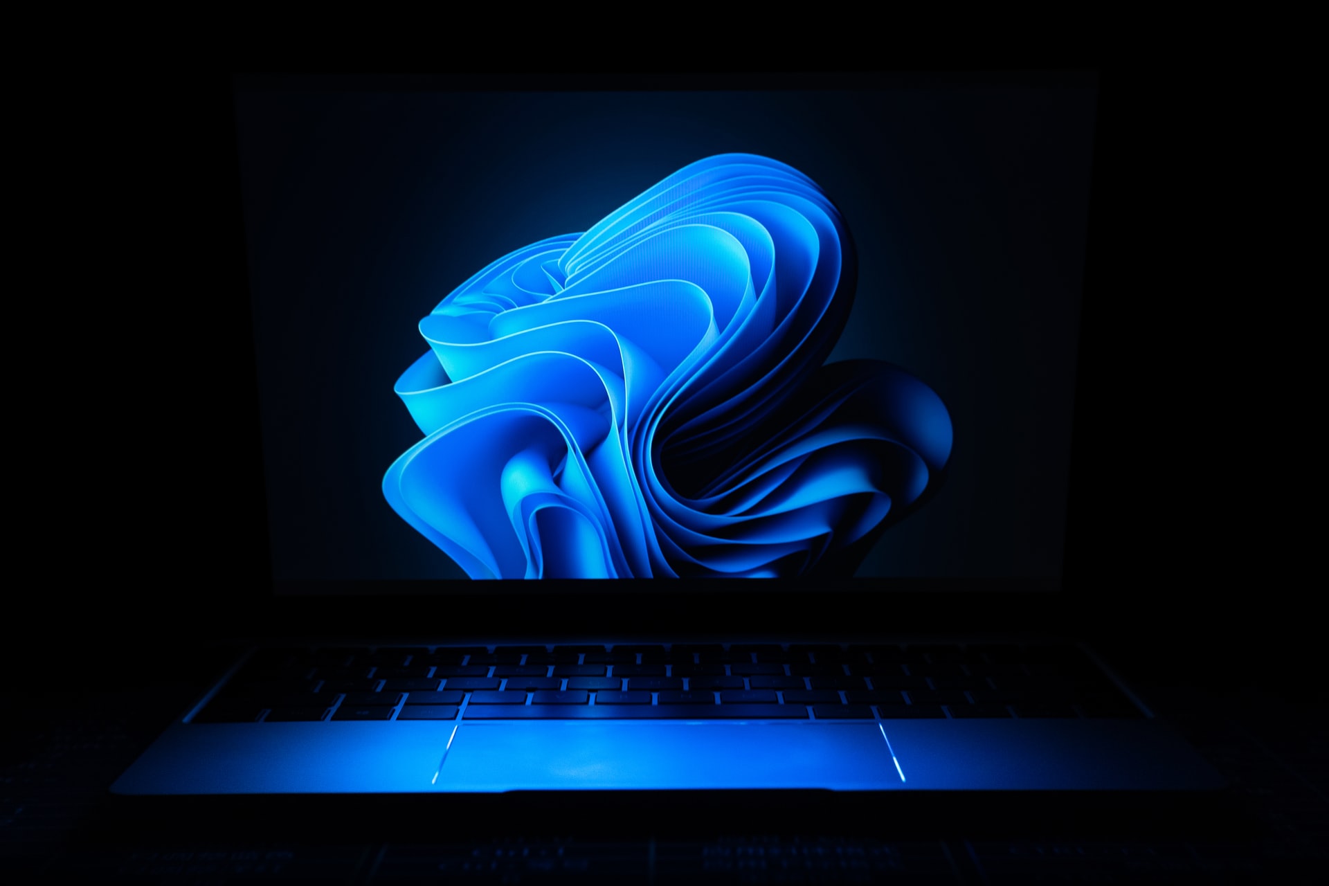 Text on Screen? Windows 11 Can Now Read Between the Pixels 🔍 - TechGriot